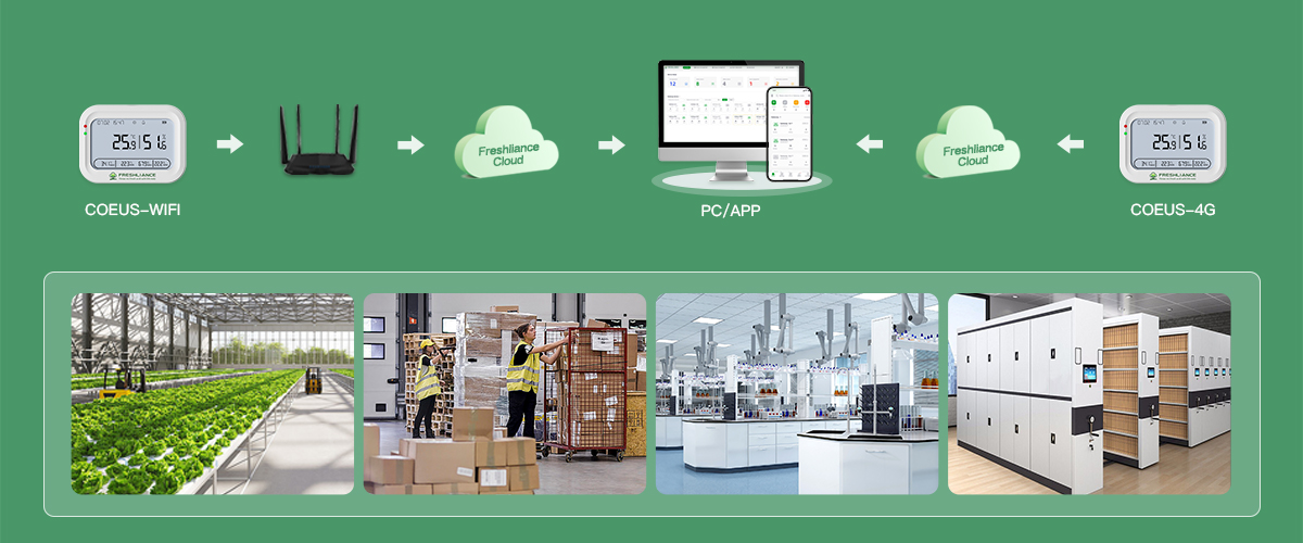 Real-time temperature monitoring in poultry farming - Freshliance ...